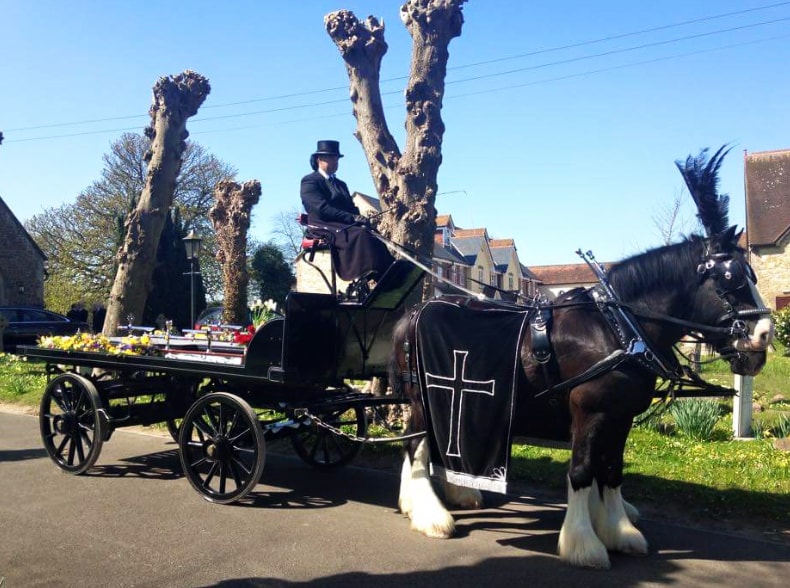 Funeral Carriages, Hearse - Drayhorse Shires, Brisbane Gold Coast