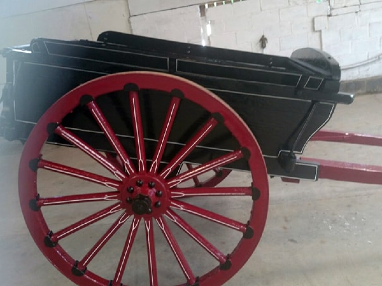 Wedding Horse & Carriage Brisbane, Gold Coast, Sunshine Coast